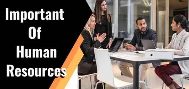 Why are Human Resources Important? Learn importance of HR
