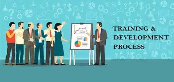 Training and development Process for implementing training programs in HRM